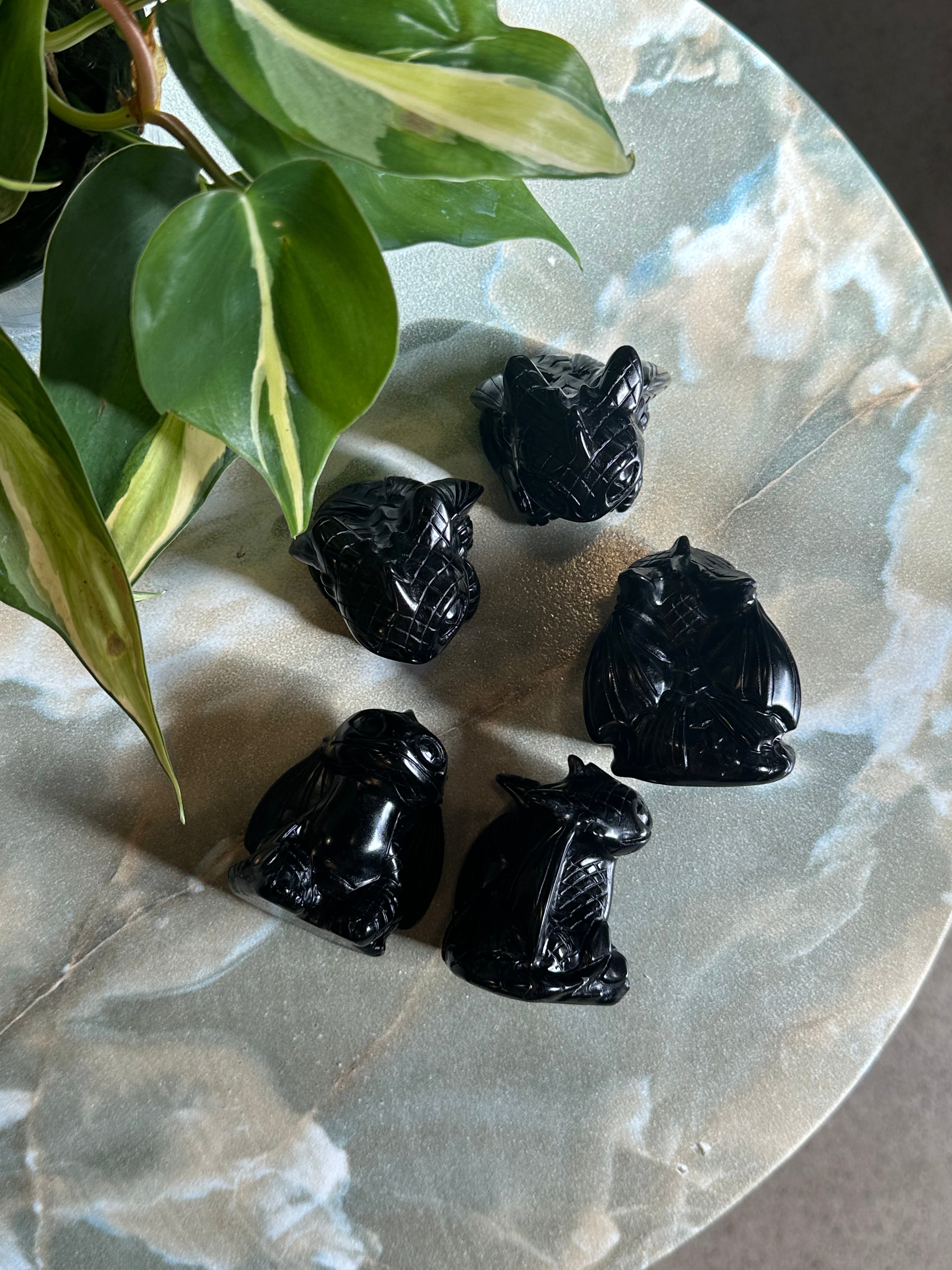 No Teeth Dragon - Black Obsidian – Moonlight And Sage Shop