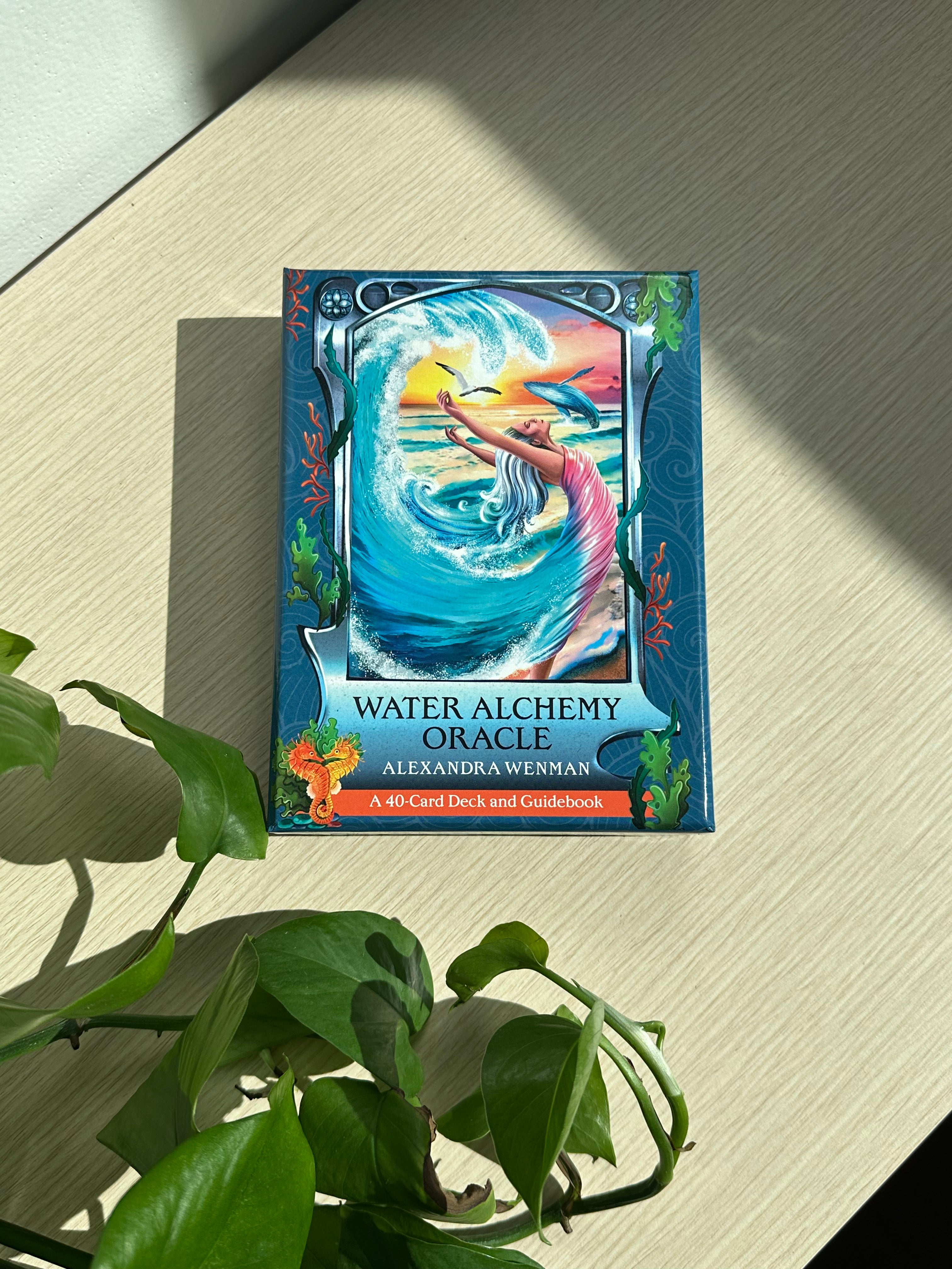 Water Alchemy Oracle By Alexandra Wenman – Moonlight And Sage Shop