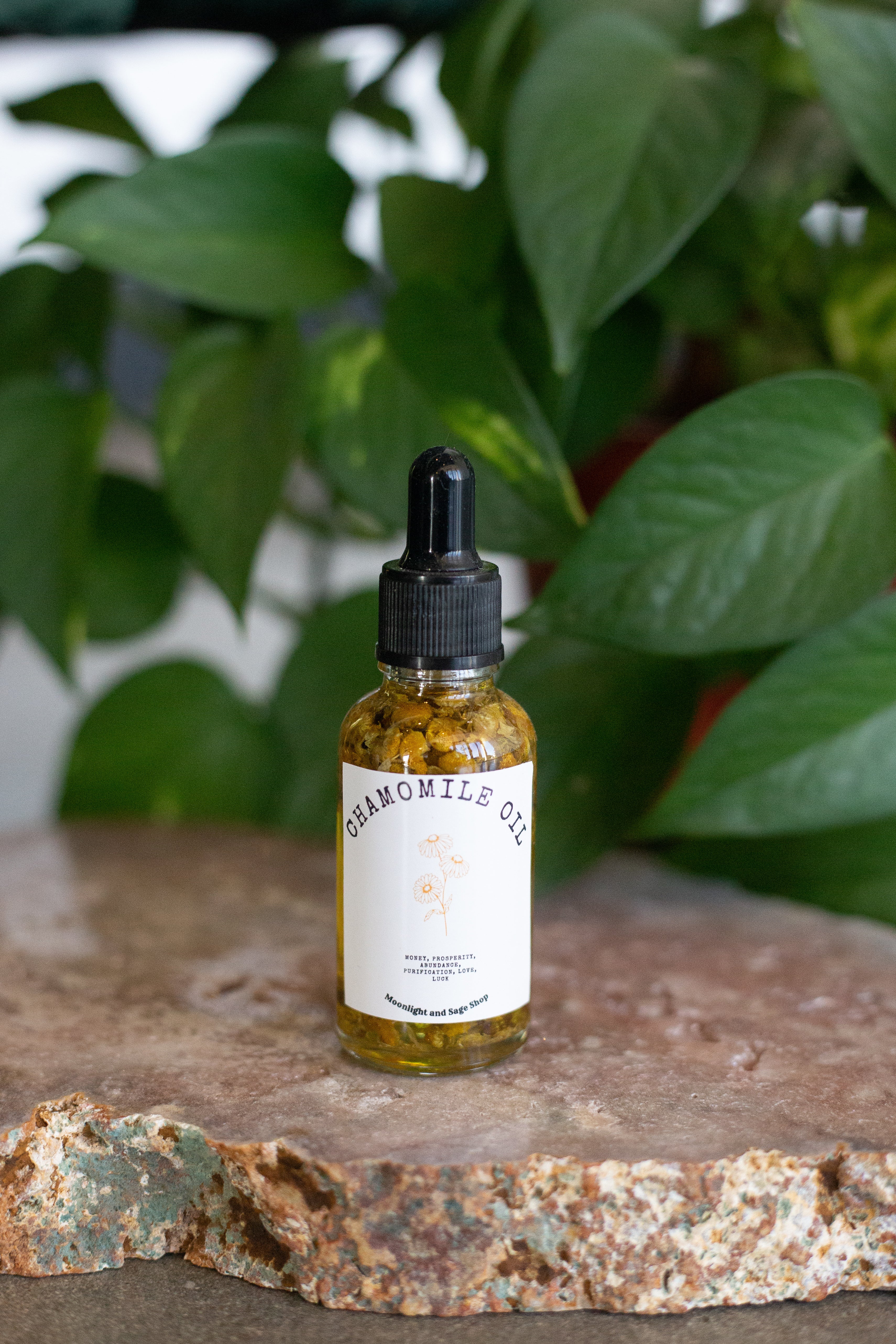 Chamomile Ritual Spell Oil – Moonlight And Sage Shop