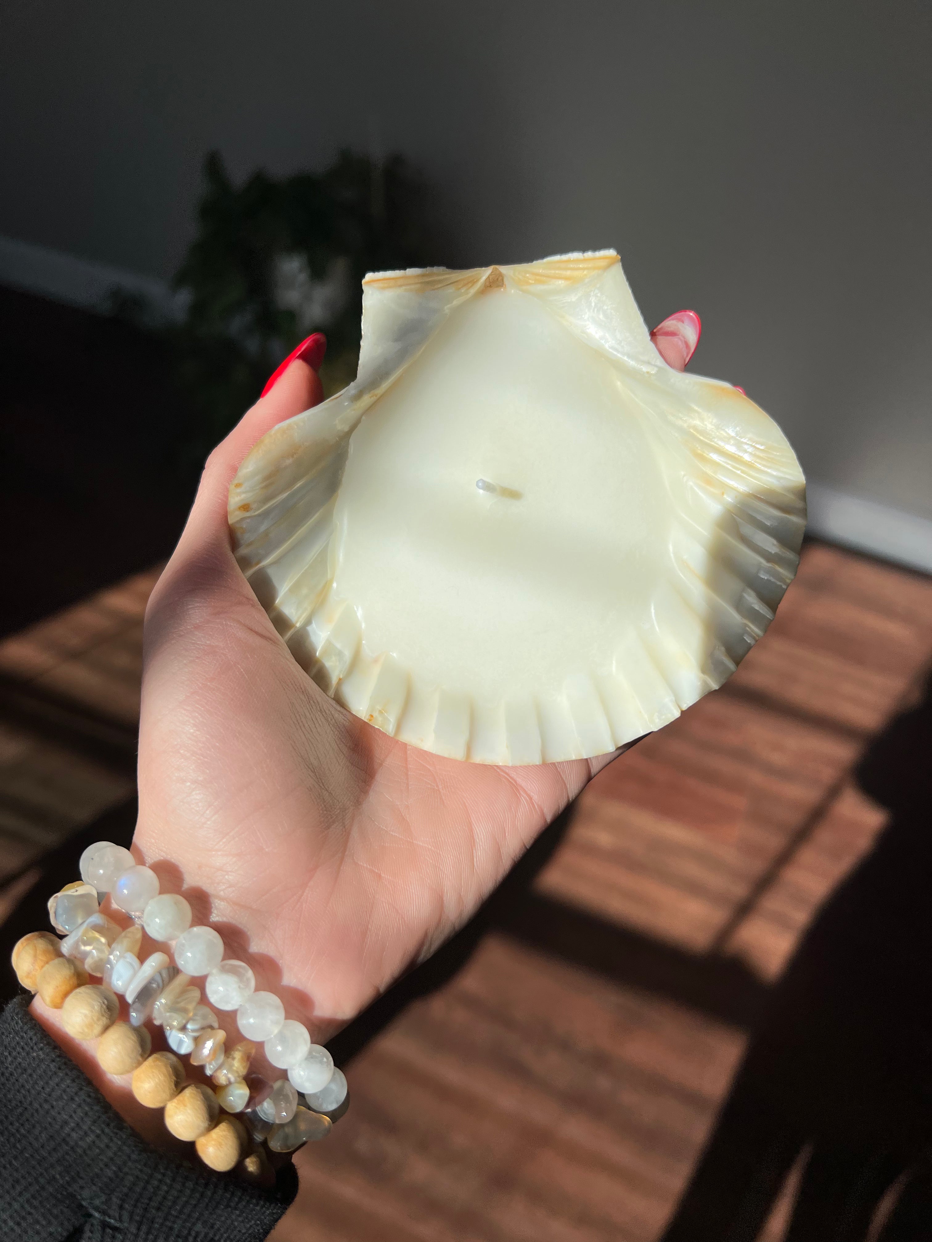 Scented Spelled Scallop Shell Candle Into the Depths Siren – Moonlight ...