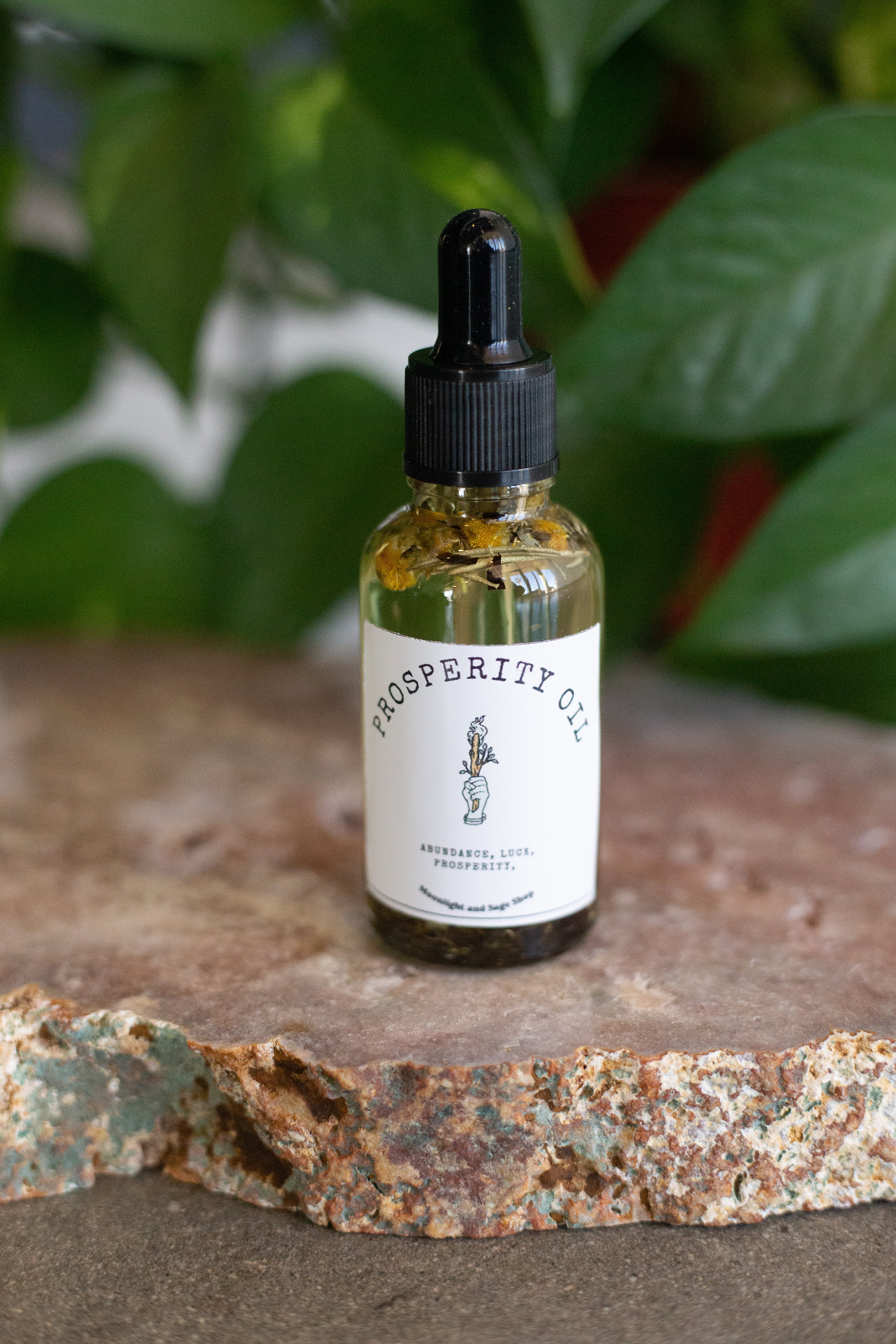 Prosperity Ritual Spell Oil – Moonlight And Sage Shop